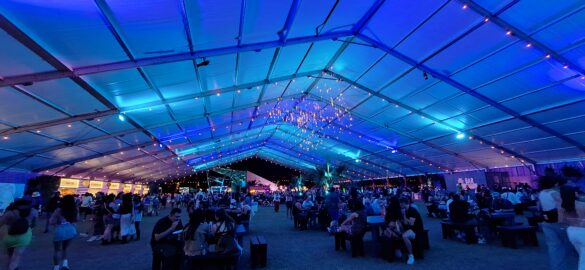 Coachella VIP Access - first experience of the iconic music festival ...